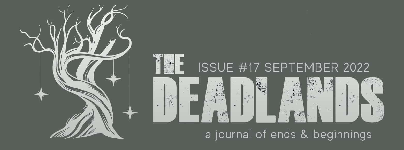 Toaster Poem, by Nathaniel Krenkel - PSYCHOPOMP.COM